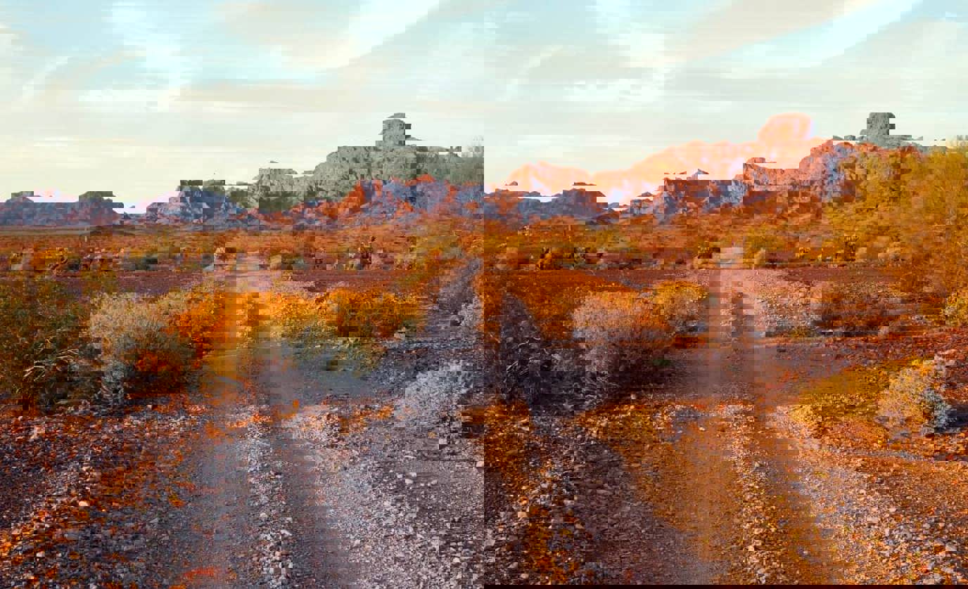 5 Boondocking Locations and Free Campsites in Arizona | Cruise America