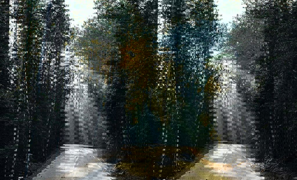 RV Trips Across America | Cruise America