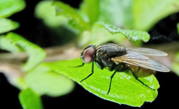 How To Keep Bugs Out of Your RV This Summer | Cruise America