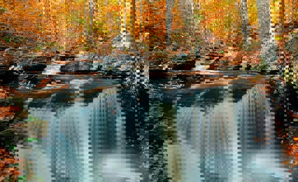 15 Boondocking Locations and Free Campsites in Pennsylvania | Cruise ...