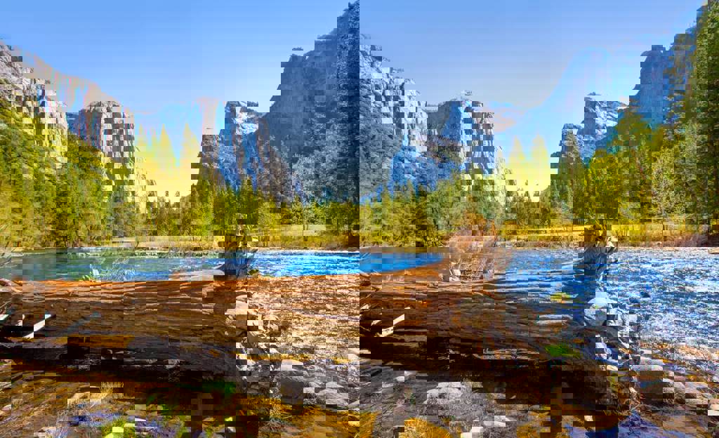 RV Camping in Sequoia National Park | Cruise America