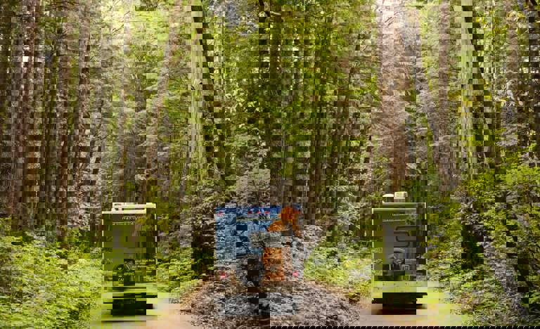 5 Nudist RV Parks in Georgia for Clothing-Optional Campers | Cruise America