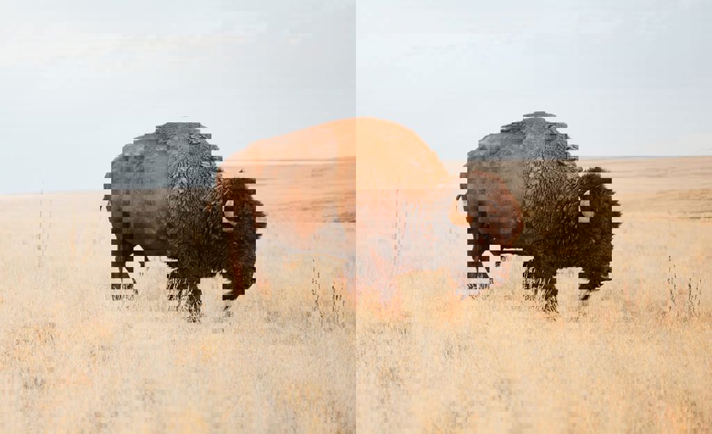 Traveling Out West by RV: The Routes & Sights to See | Cruise America