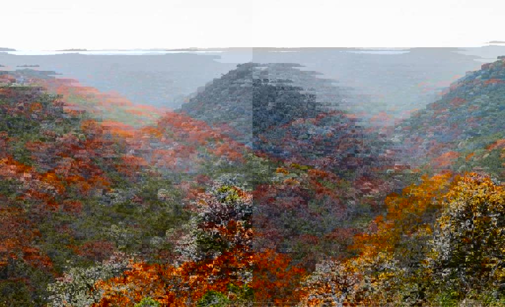 RV Camping Near Lost Maples State Park | Cruise America