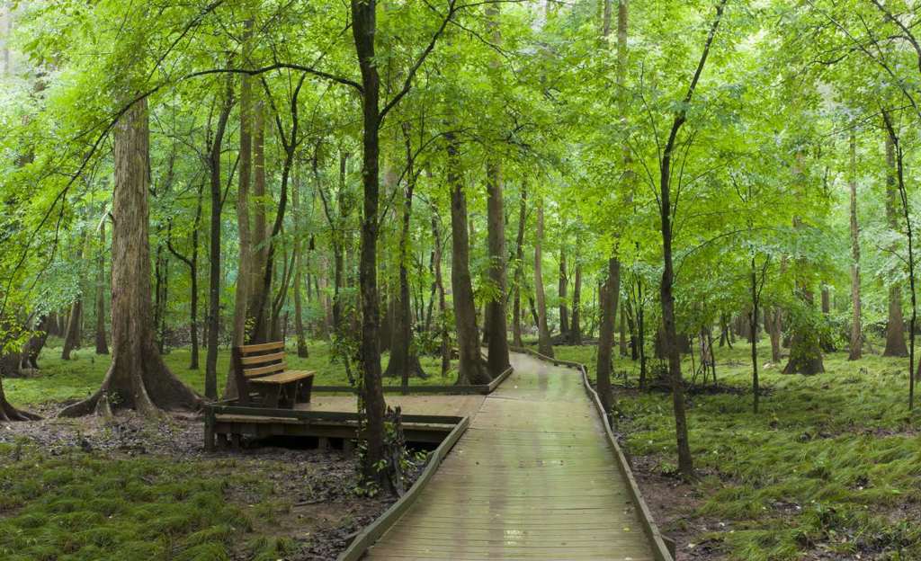 RV Camping Near Congaree National Park | Cruise America