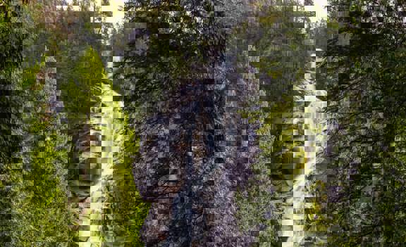 Whistler Waterfall Guide: Must-See Falls in Whistler, BC | Cruise America