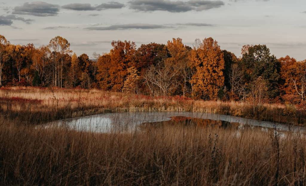 The Best State Parks in Indiana for RV Camping | Cruise America